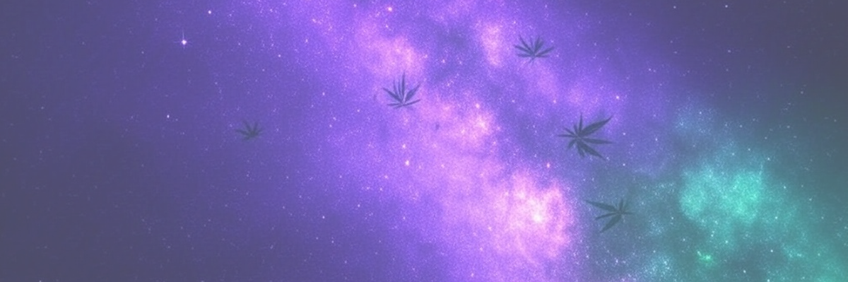 LECA Expanded Clay Pebbles – Homegro Depot