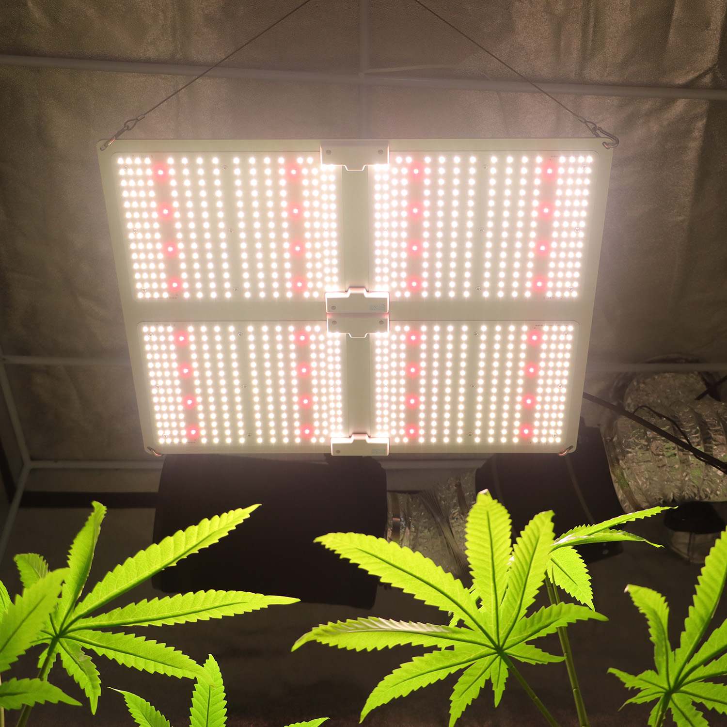 𝟰𝟬𝟬𝗪 Full Spectrum Led Quantum Board LED Grow Lights|𝗦𝗮𝗺𝗦𝘂𝗻𝗴 𝗟𝗠𝟮𝟴𝟭𝗕 ...