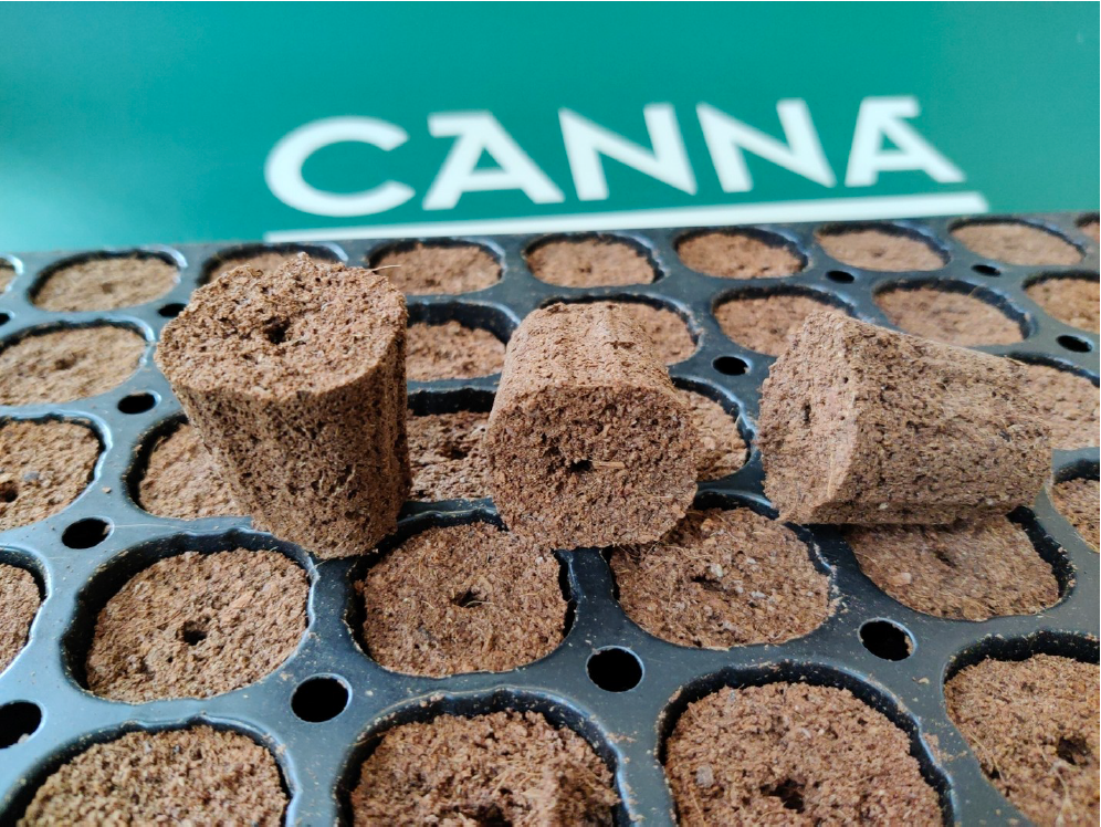 CANNA Rooting Plugs | Propagation Plugs | Homegro Depot